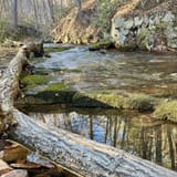 Hone Quarry Waterfall, Virginia - 352 Reviews, Map | AllTrails