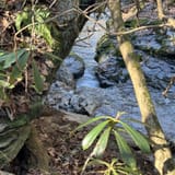 Kelly's Run Loop Trail, Pennsylvania - 3,236 Reviews, Map | AllTrails