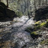 Kelly's Run Loop Trail, Pennsylvania - 3,236 Reviews, Map | AllTrails