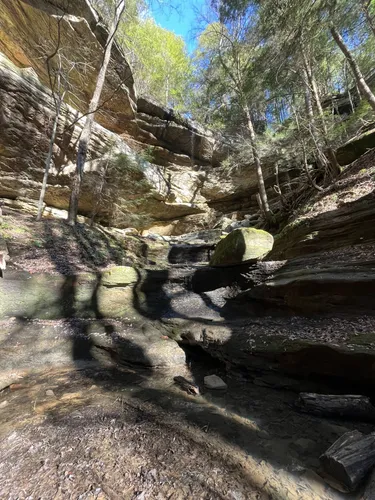 Best Long Trails in Hocking State Forest | AllTrails
