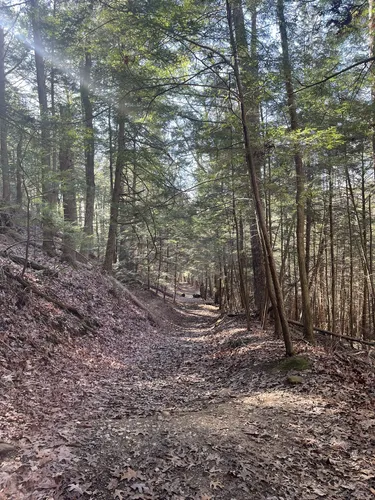 Best Long Trails in Hocking State Forest | AllTrails