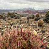 Fossil Ridge Loop, Nevada - 840 Reviews, Map | AllTrails