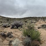 Fossil Ridge Loop, Nevada - 831 Reviews, Map | AllTrails