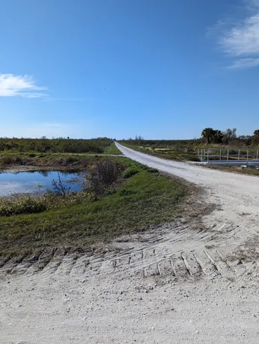 Best Hikes and Trails in Mount Dora | AllTrails