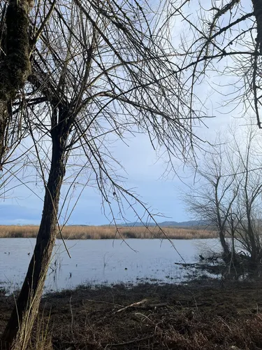 Best Hikes and Trails in Smith & Bybee Lakes Park | AllTrails