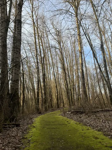 Best Hikes and Trails in Smith & Bybee Lakes Park | AllTrails