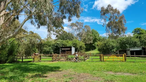 Best River Trails in Banyule | AllTrails