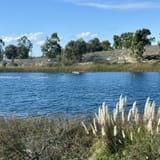 Lake Miramar Trail, California - 3,641 Reviews, Map | AllTrails