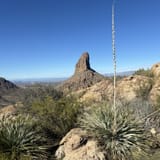 Lone Tree via Peralta Canyon Trail, Arizona - 1,773 Reviews, Map ...