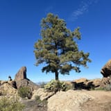 Lone Tree via Peralta Canyon Trail, Arizona - 1,773 Reviews, Map ...
