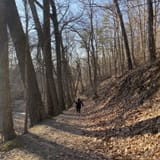 Abraham Lincoln Park White Trail, New York - 1,531 Reviews, Map | AllTrails