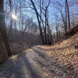 Abraham Lincoln Park White Trail, New York - 1,531 Reviews, Map | AllTrails