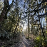 Poo Poo Point Trail, Washington - 6,006 Reviews, Map | AllTrails