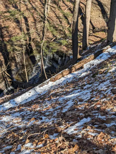 Best Hikes and Trails in Hinchcliff Family Preserve | AllTrails