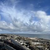 Dungeness Spit Trail, Washington - 1,565 Reviews, Map | AllTrails