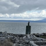 Dungeness Spit Trail, Washington - 1,565 Reviews, Map | AllTrails