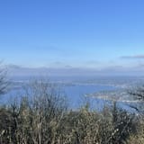 Big Tree Ridge Trail, Washington - 481 Reviews, Map | AllTrails