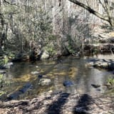 Reeves Brook Loop Trail, New York - 4,700 Reviews, Map | AllTrails