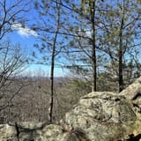 Reeves Brook Loop Trail, New York - 4,700 Reviews, Map | AllTrails