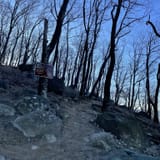 Bull Hill Full Loop, New York - 5,307 Reviews, Map | AllTrails
