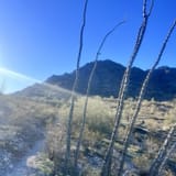 Dreamy Draw Loop Trail, Arizona - 1,095 Reviews, Map | AllTrails