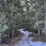 Mount Falcon Castle Trail Loop, Colorado - 5,467 Reviews, Map | AllTrails