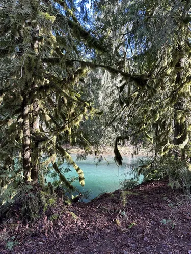 Best Hikes and Trails in Molalla River Corridor Recreation Area | AllTrails