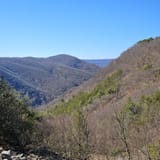 Thousand Steps, Pennsylvania - 1,274 Reviews, Map | AllTrails