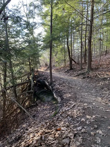 Best Long Trails in Hocking State Forest | AllTrails