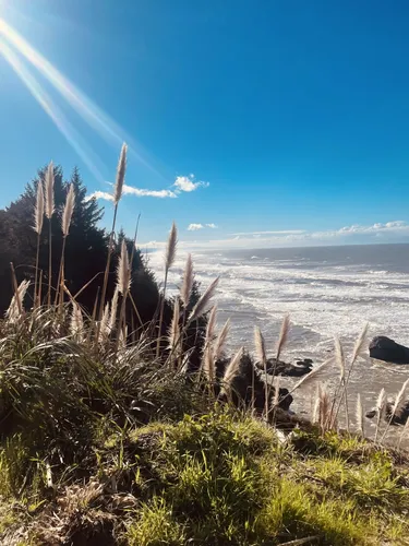 Best Hikes and Trails in Little River State Beach | AllTrails