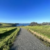 Long Bay - Okura Track, Auckland, New Zealand - 661 Reviews, Map ...