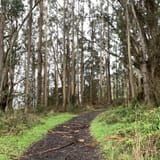 Alamere Falls via Coast Trail from Palomarin Trailhead, California ...
