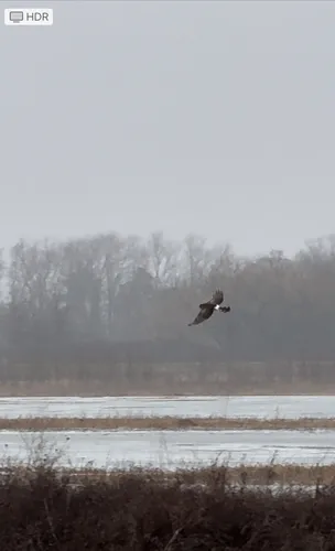 Best Hikes and Trails in Howard Marsh Metropark | AllTrails