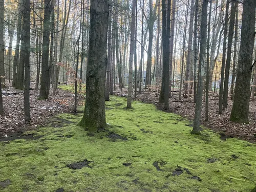 Best Hikes and Trails in Hofma Preserve | AllTrails