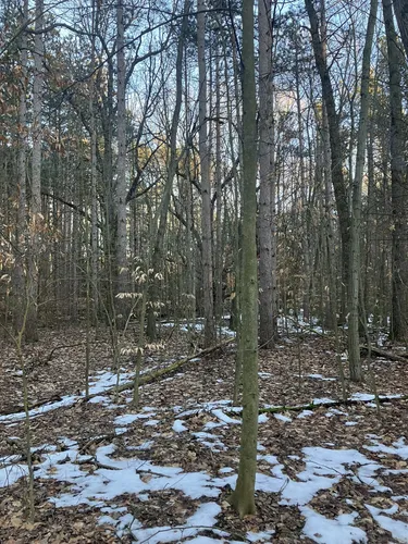 Best Hikes and Trails in Hofma Preserve | AllTrails