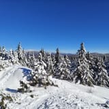 Mount Morgan and Mount Percival Loop, New Hampshire - 3,472 Reviews ...