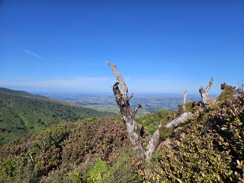 10 Best Hikes and Trails in Ruahine Forest Park | AllTrails