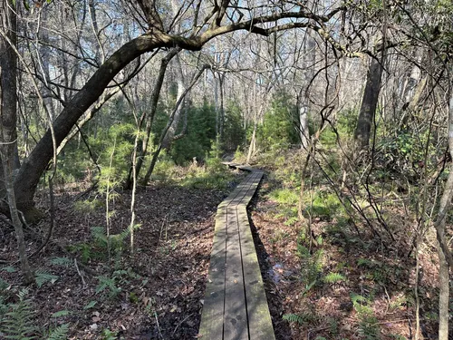 Best Hikes and Trails in Santa Fe River Preserve | AllTrails