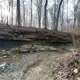 Paw Paw and Chinkapin Trail Loop, Kentucky - 504 Reviews, Map | AllTrails