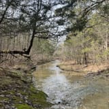 Paw Paw and Chinkapin Trail Loop, Kentucky - 504 Reviews, Map | AllTrails