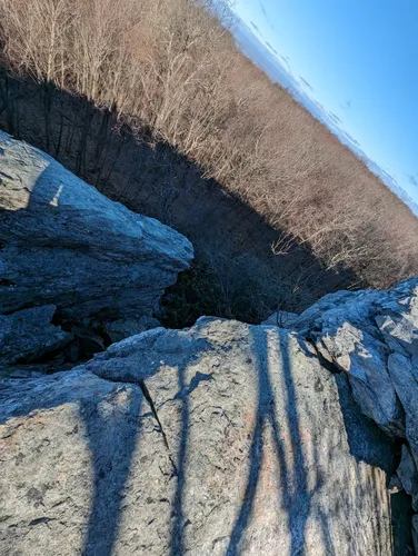 Best Hikes and Trails in Cherry Valley National Wildlife Refuge | AllTrails