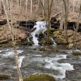 Fiery Gizzard Trail to Raven's Point, Tennessee - 1,116 Reviews, Map ...