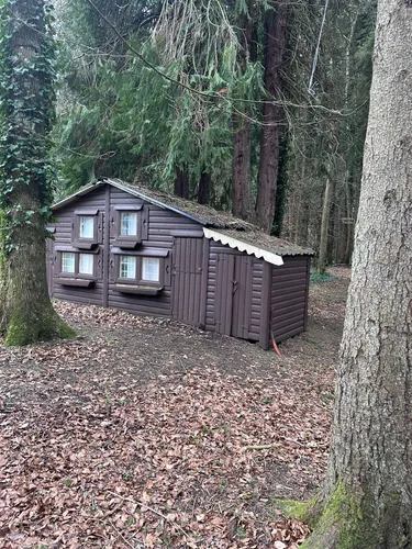 Best Hikes and Trails in Donadea Forest Park | AllTrails