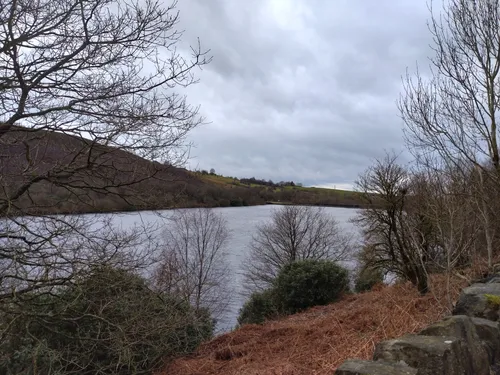 Best Hikes and Trails in Stalybridge Country Park | AllTrails