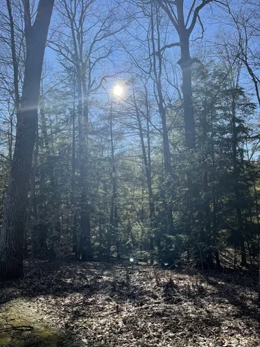 Best Hikes and Trails in Hofma Preserve | AllTrails