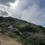 Two Trees Trail, California - 1,309 Reviews, Map | AllTrails
