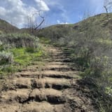 Two Trees Trail, California - 1,309 Reviews, Map | AllTrails