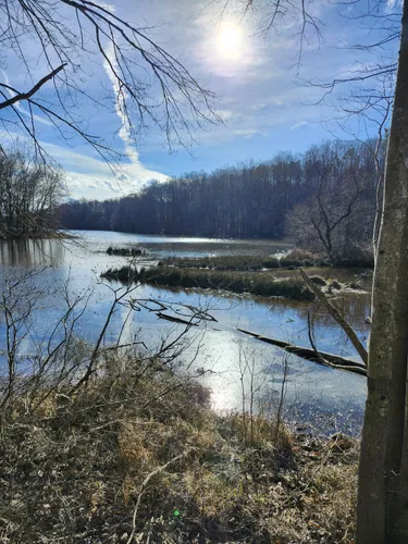 Best Hikes and Trails in Gilbert Run Park | AllTrails