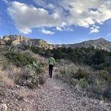 Basin Loop Trail, Texas - 1,008 Reviews, Map | AllTrails