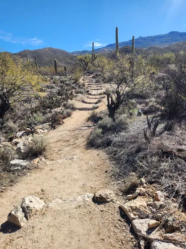 Best Trails near Spud Rock | AllTrails